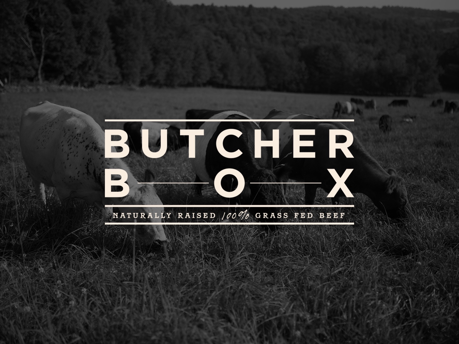 Butcher Box - Unofficial Worldwide